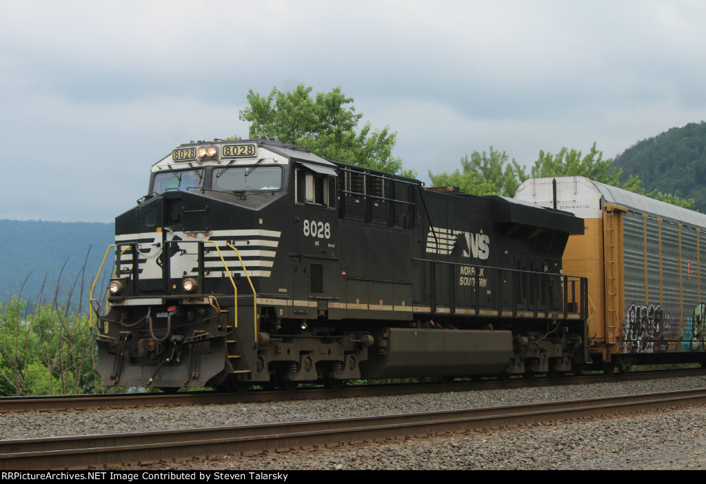 NS 8028